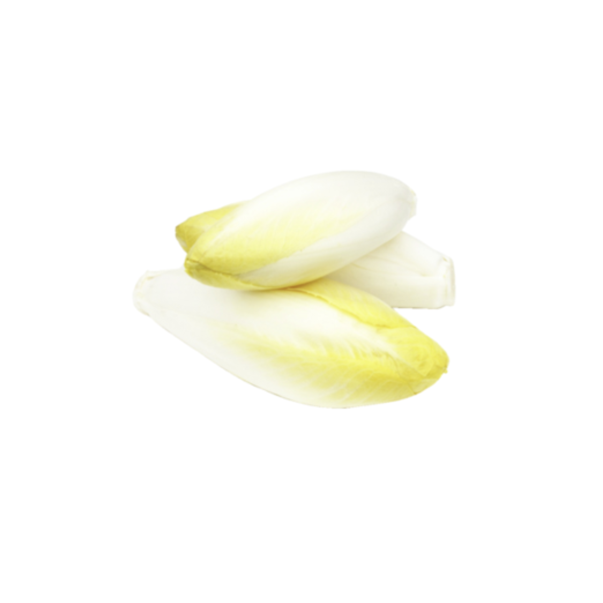 Chicoree 500g – foodpipe Rostock